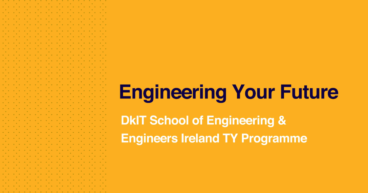 TY Engineering Programme | DkIT