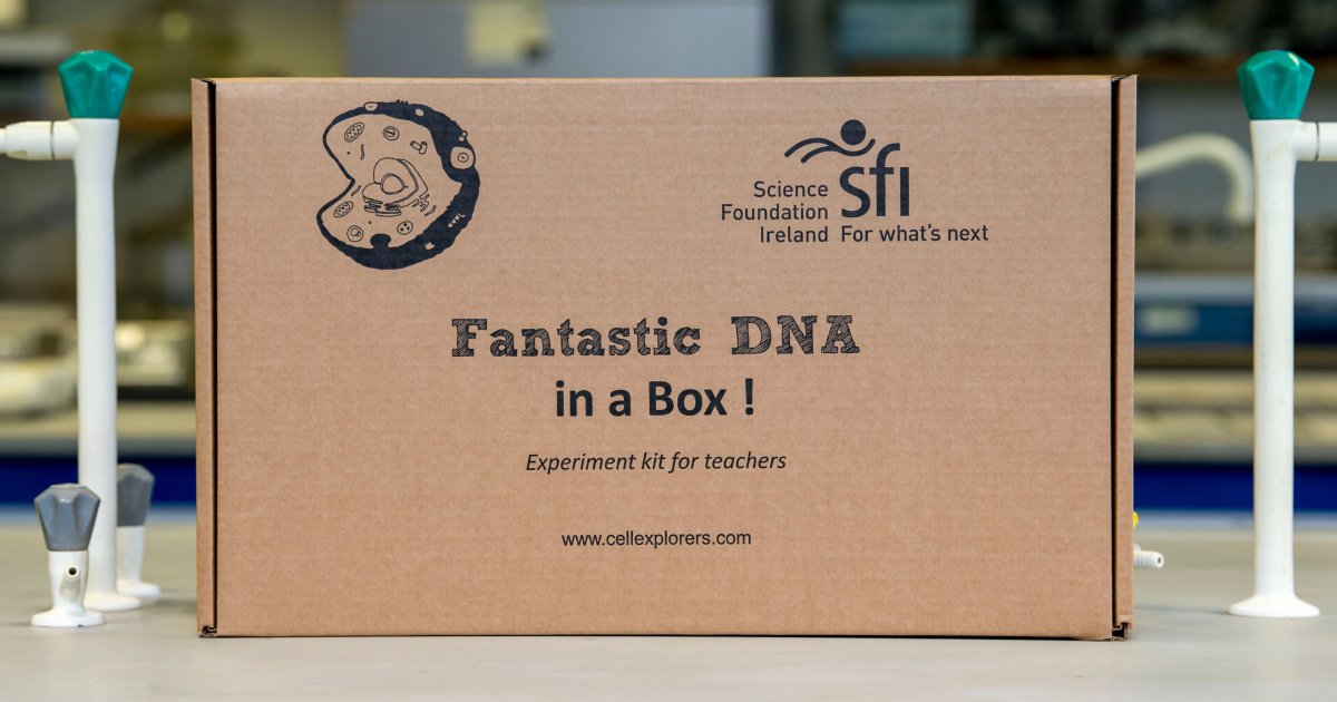 Cell Explorers - Fantastic DNA in a Box | DkIT