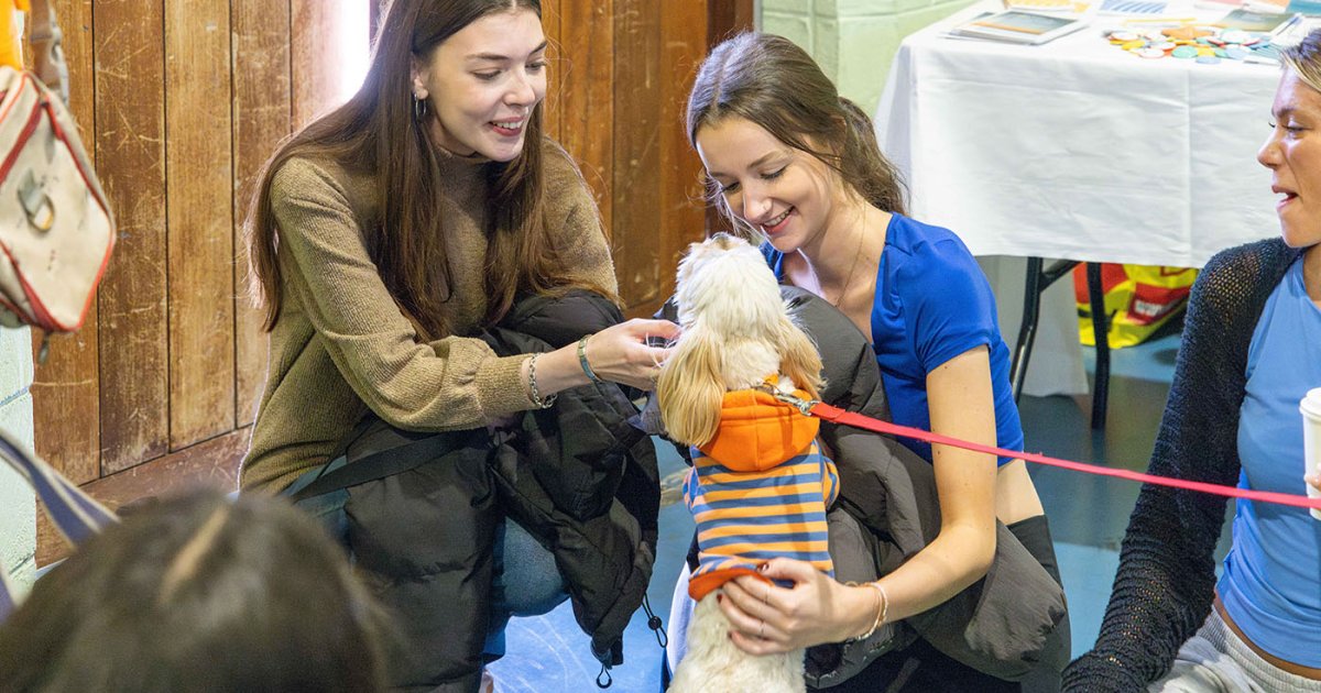 DkIT celebrates Mental Health Awareness Week with connection and ...