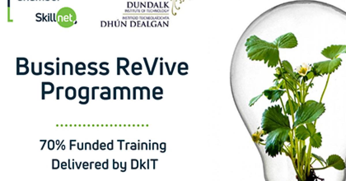 DkIT Partners with Dundalk Chamber Skillnet to Provide New Business Training Support Programme ...