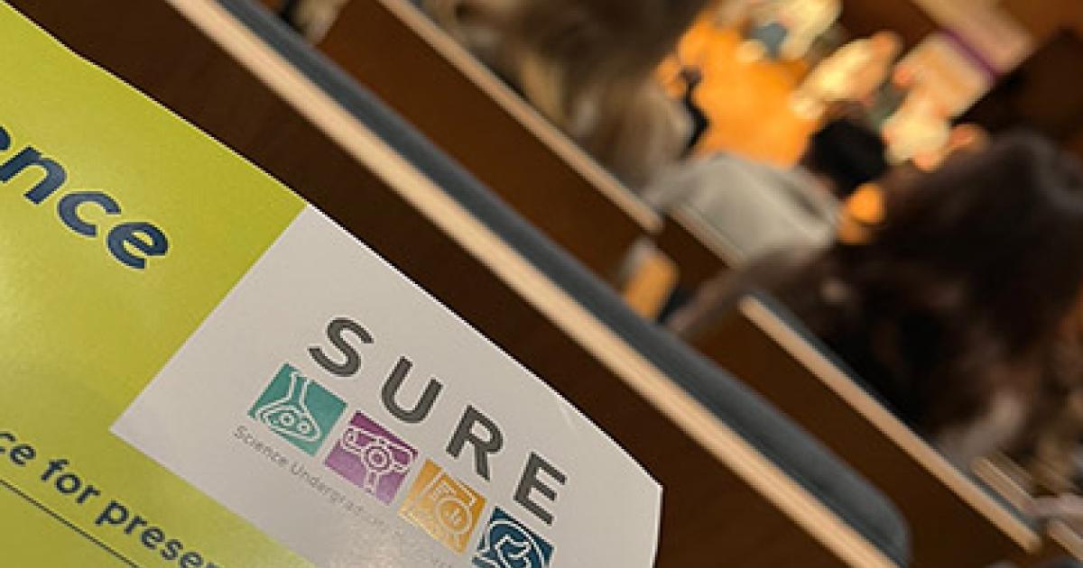 DkIT Students Present at Prestigious SURE Network Conference | DkIT