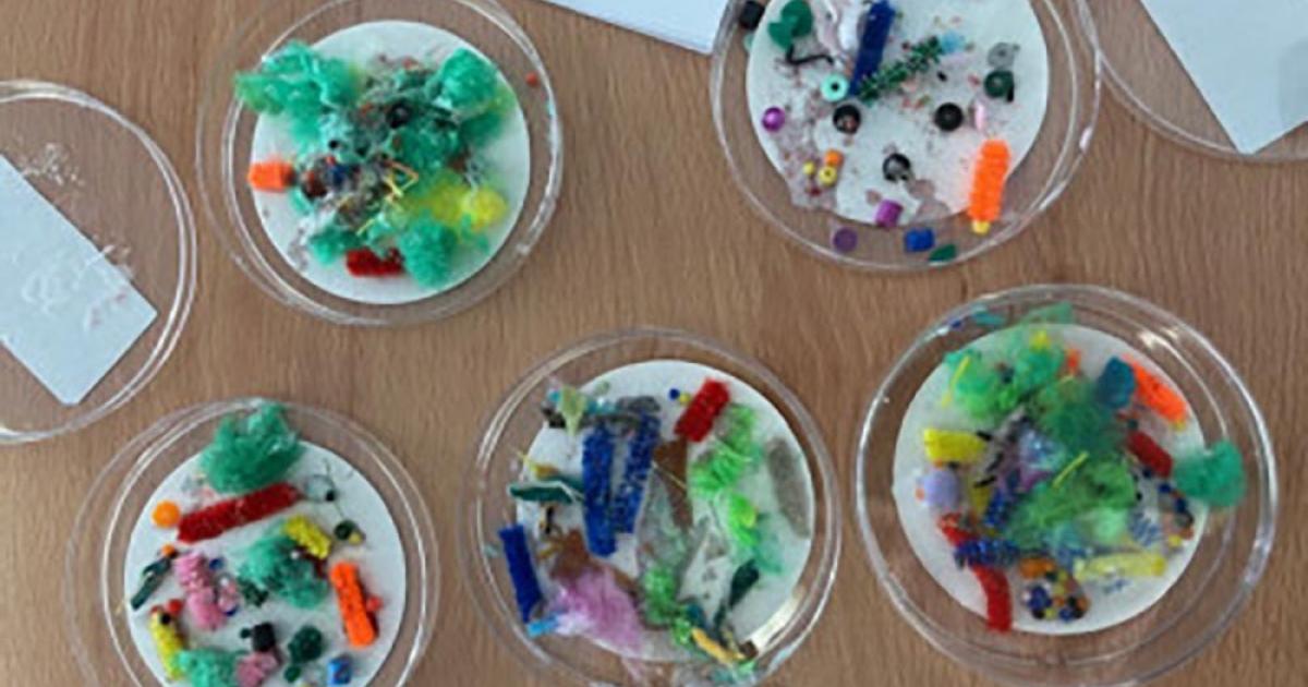 Steamy Microbes Creative Science School outreach | DkIT