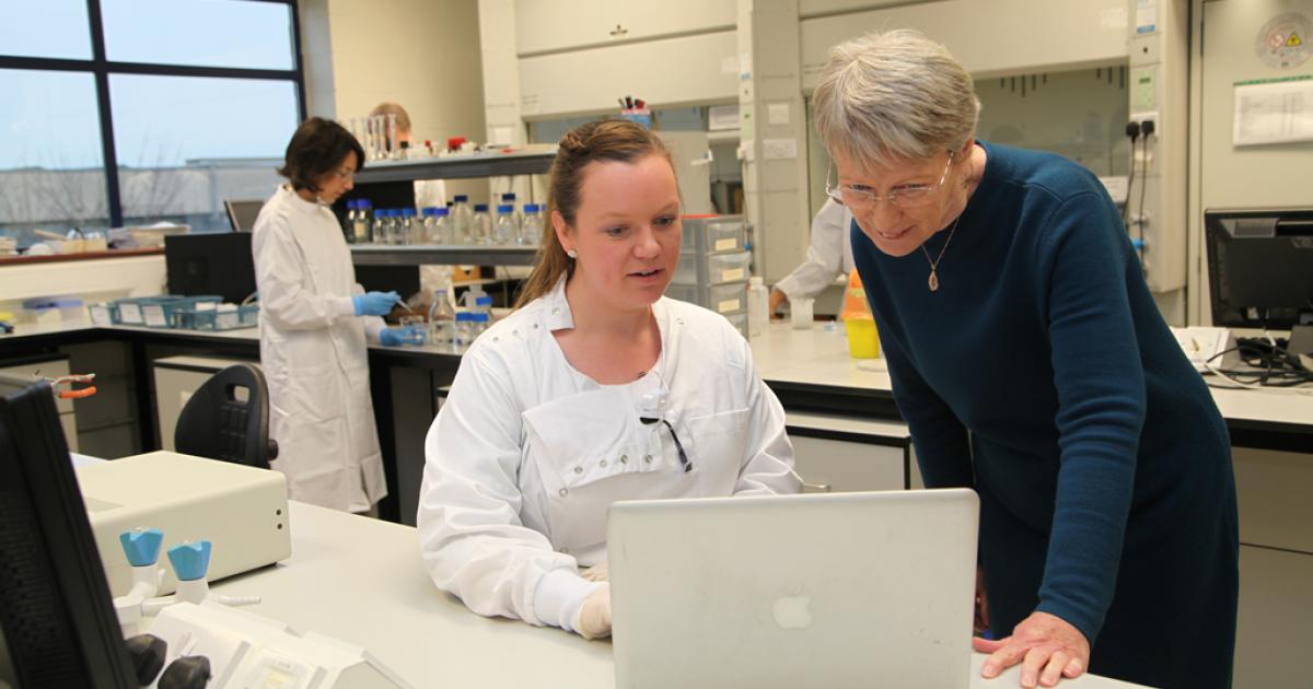 DkIT Students to Benefit from Major Investment in IT and Lab Upgrade | DkIT